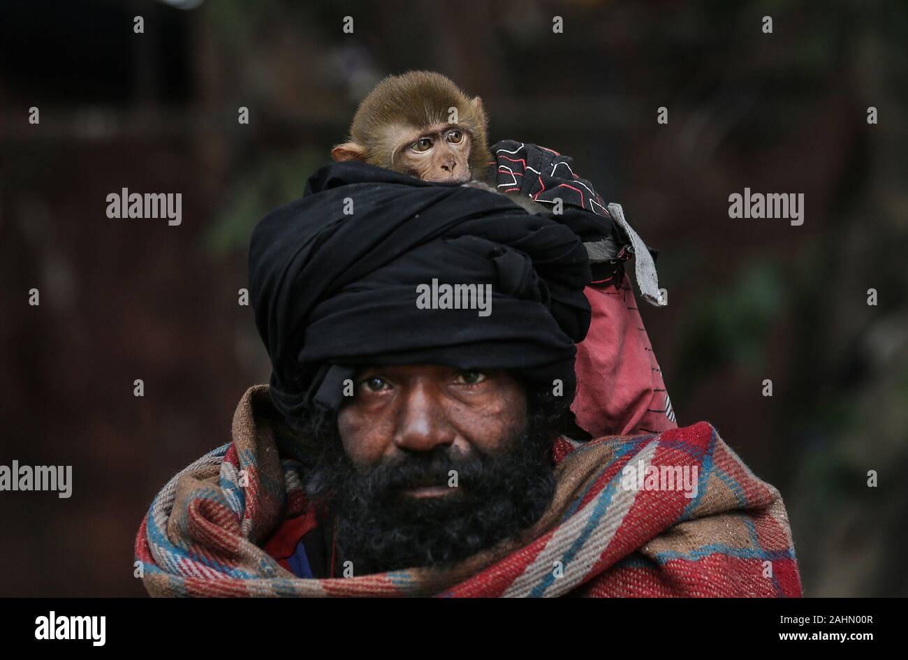 Monkey man of delhi hi-res stock photography and images - Alamy