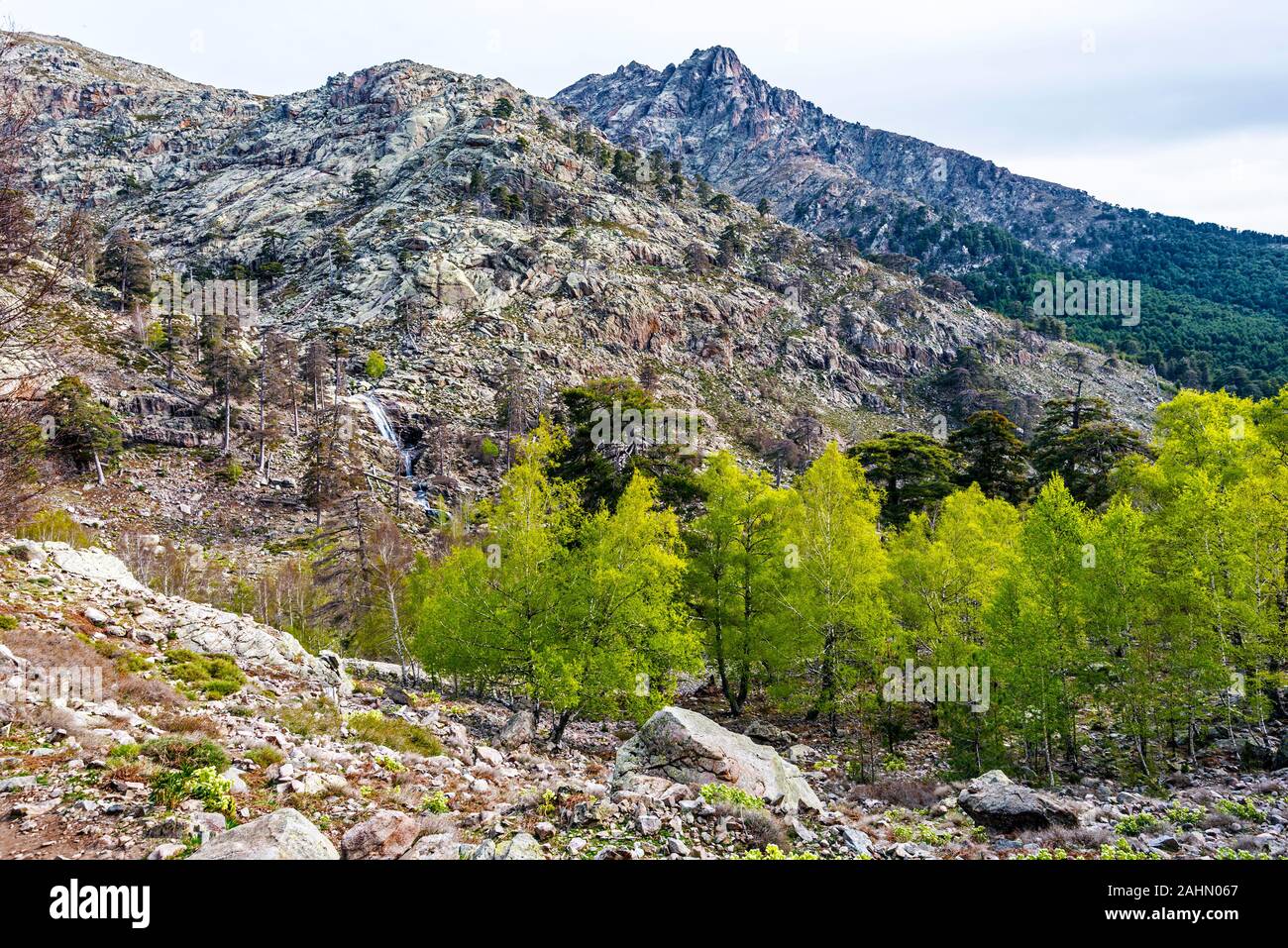 Niolu hi-res stock photography and images - Alamy