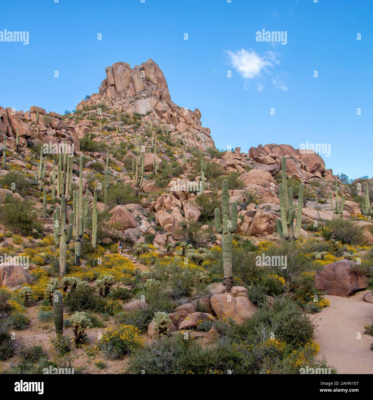 Arizona hi-res stock photography and images - Alamy