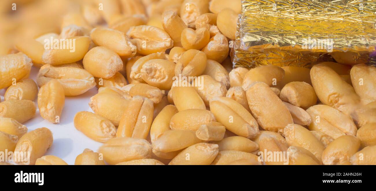 close up of wheat seeds pouring out from a small bag isolated on white ...