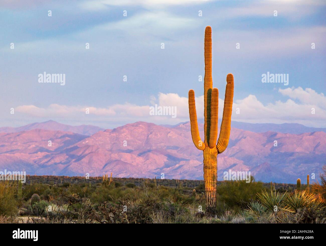 Colorful desert landscape at hot sunset hi-res stock photography and ...