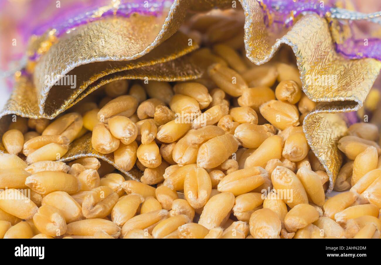 close up of wheat seeds pouring out from a small bag isolated on white ...