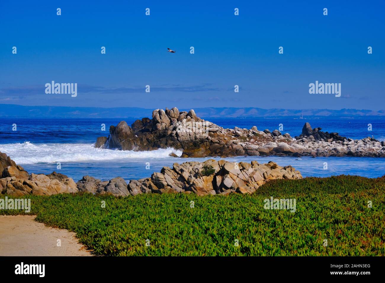 Green ground cover hi-res stock photography and images - Alamy