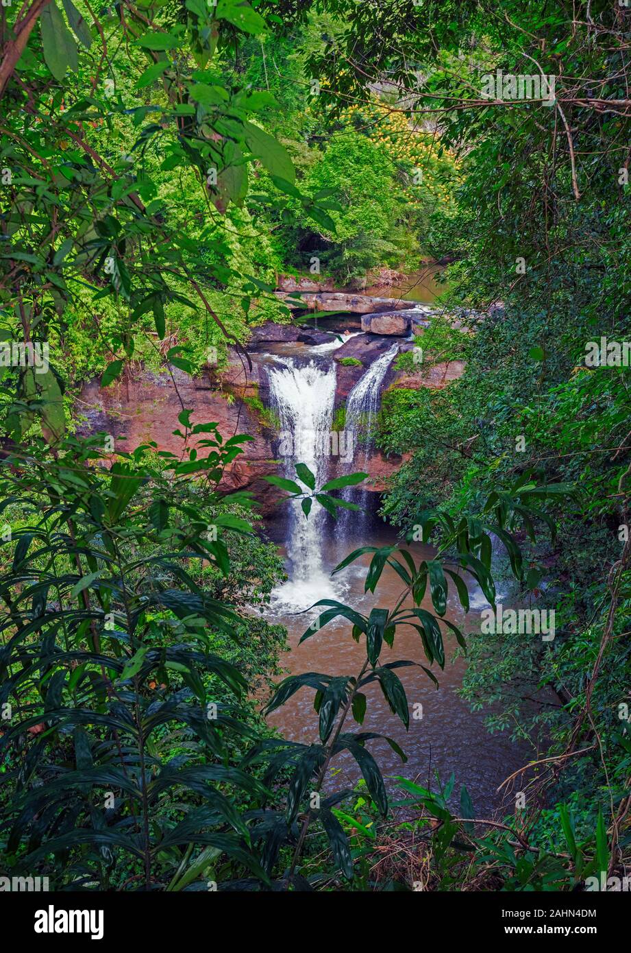 View at Haew Suwat Waterfall trough deep vegetation in Khao Yai ...