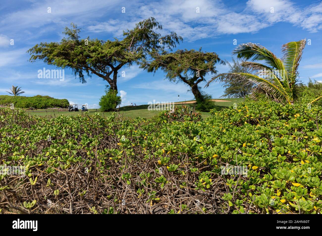 Kapalua dragons teeth hi-res stock photography and images - Alamy