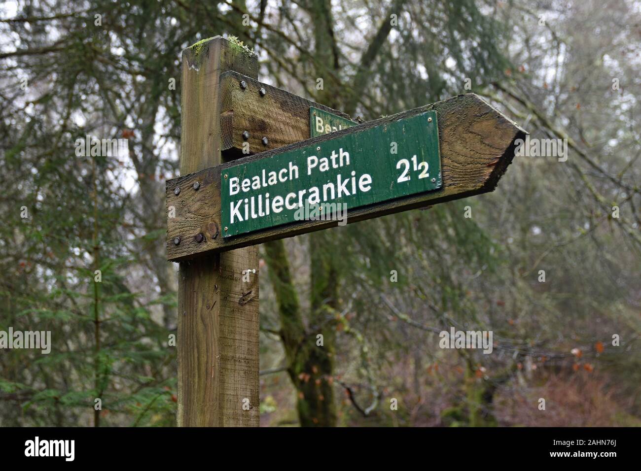 Signpost for Bealach path, a walking trail in Faskally Woods ...