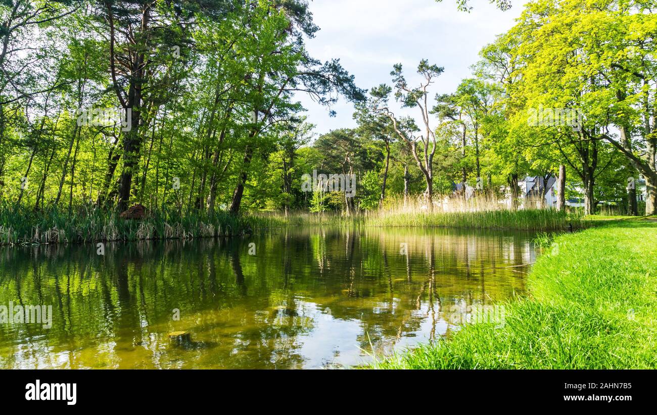 pond and trees in a park Stock Photo - Alamy