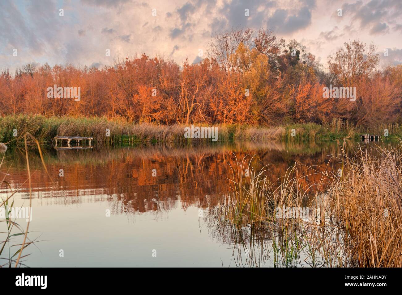 Autumn sunset river Ros landscape, Central Ukraine. Focus on foreground ...
