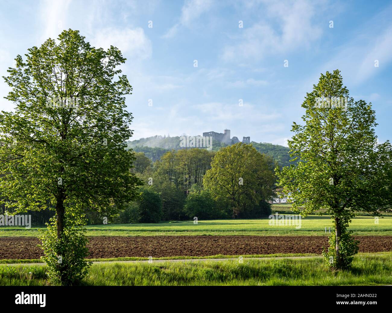 Wolfstein castle ruins hi-res stock photography and images - Alamy