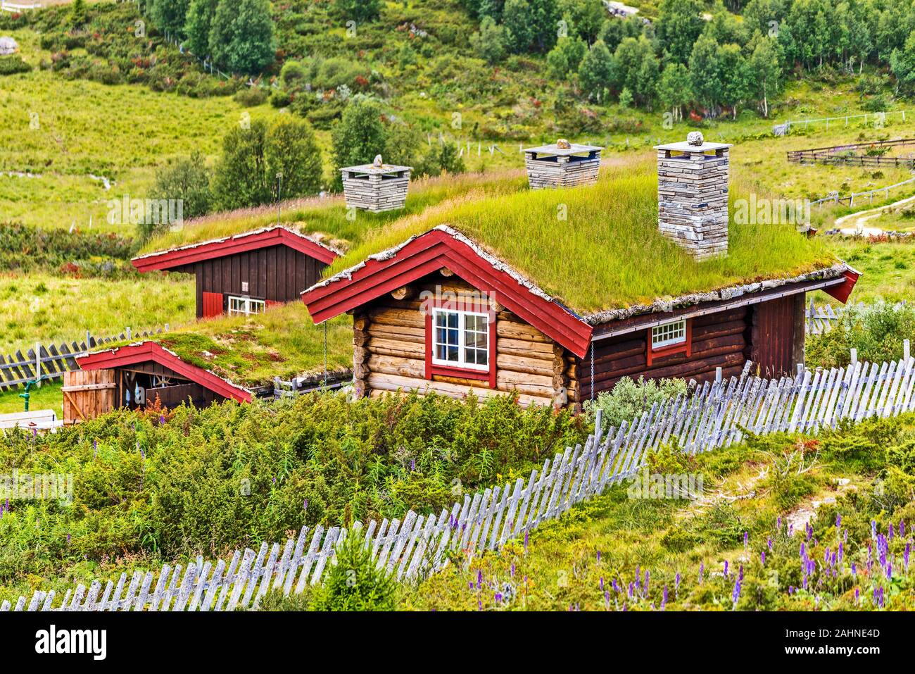 Norwegian countryside hi-res stock photography and images - Alamy