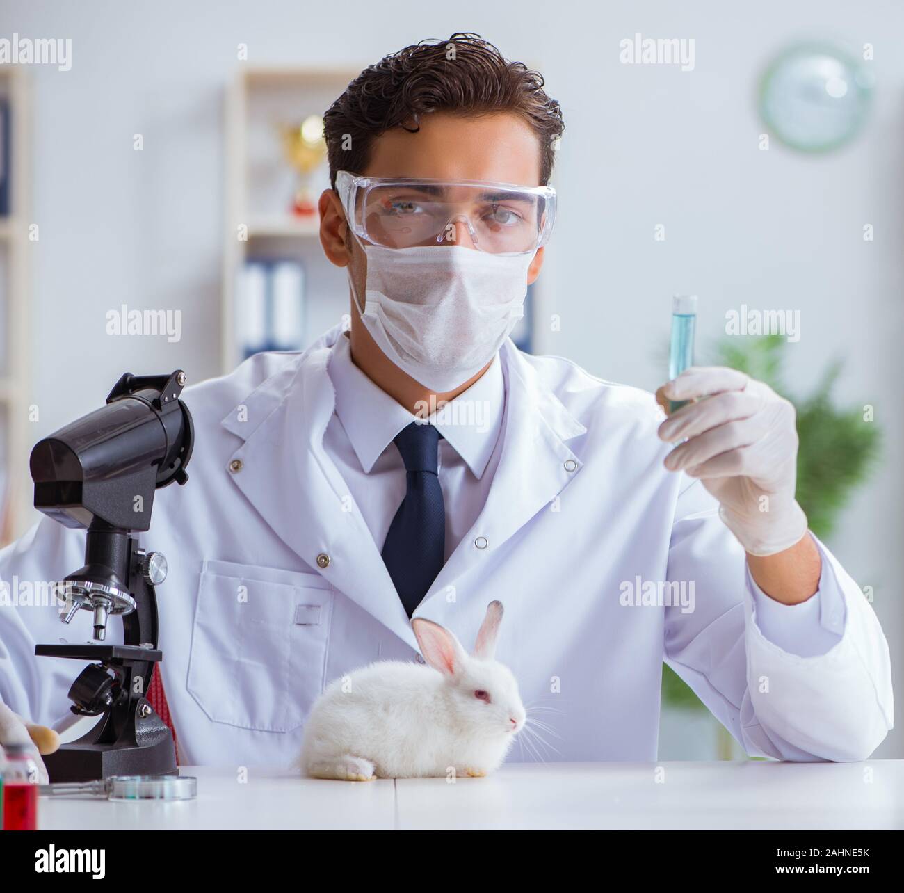 The vet doctor examining rabbit in pet hospital Stock Photo - Alamy