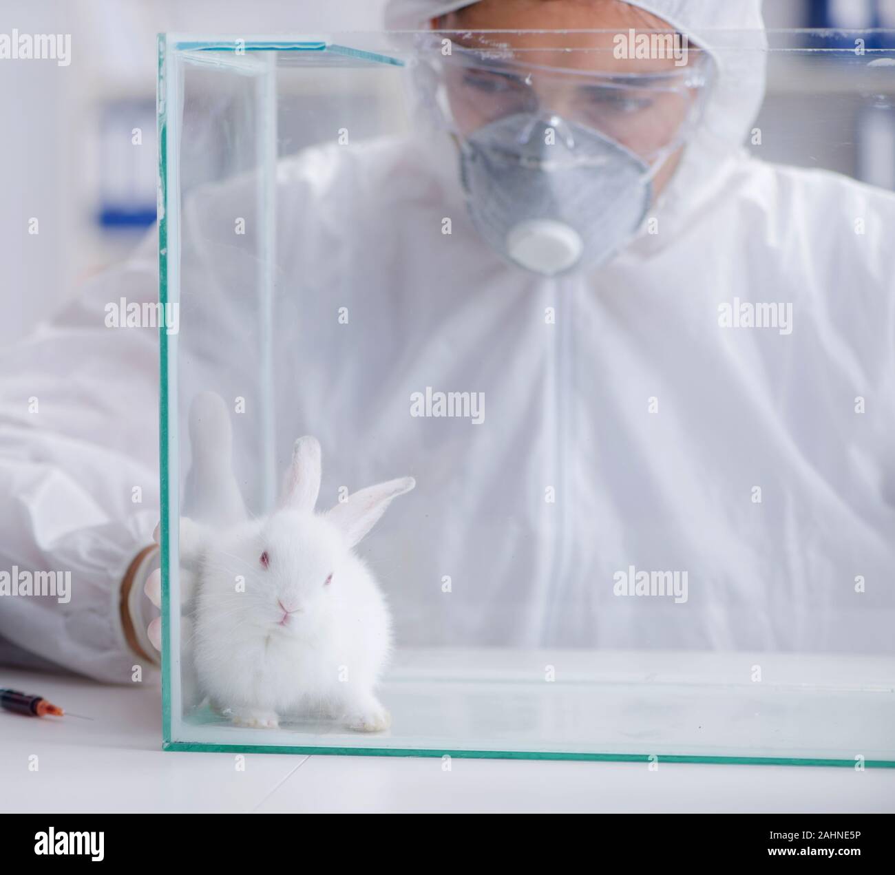 Animal test rabbit cage hi-res stock photography and images - Alamy