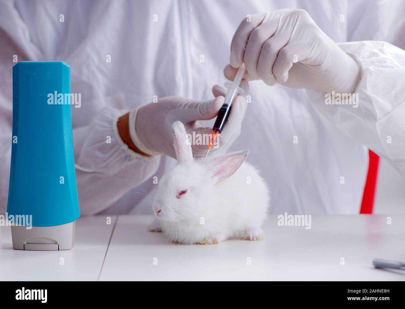 White rabbit in scientific lab experiment hi-res stock photography and ...