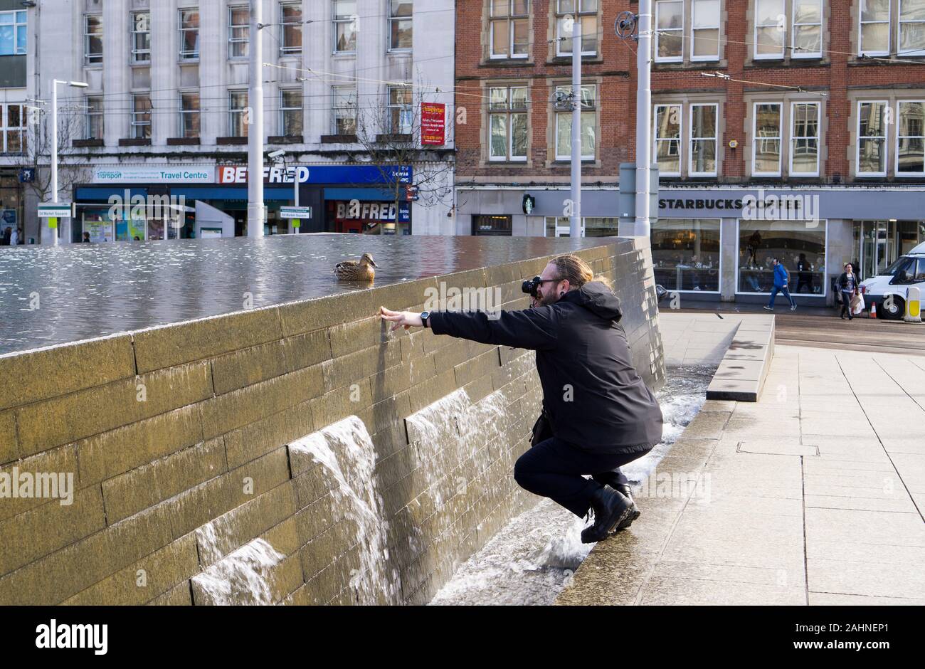 Man taking a picture of a duck in Nottingham City Centre Stock Photo ...