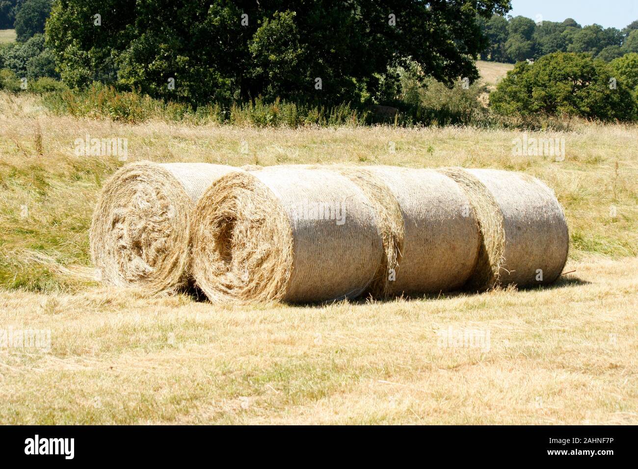 Rolled hay in farm at UK Stock Photo - Alamy