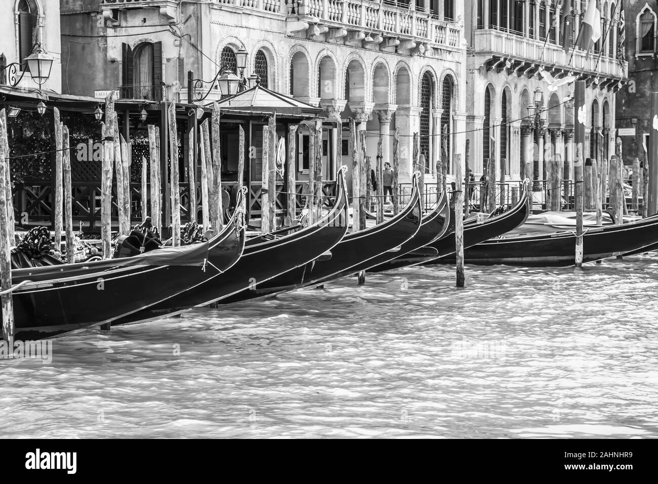 Venice, the city of love calls to disappear sinking into the lagoon ...