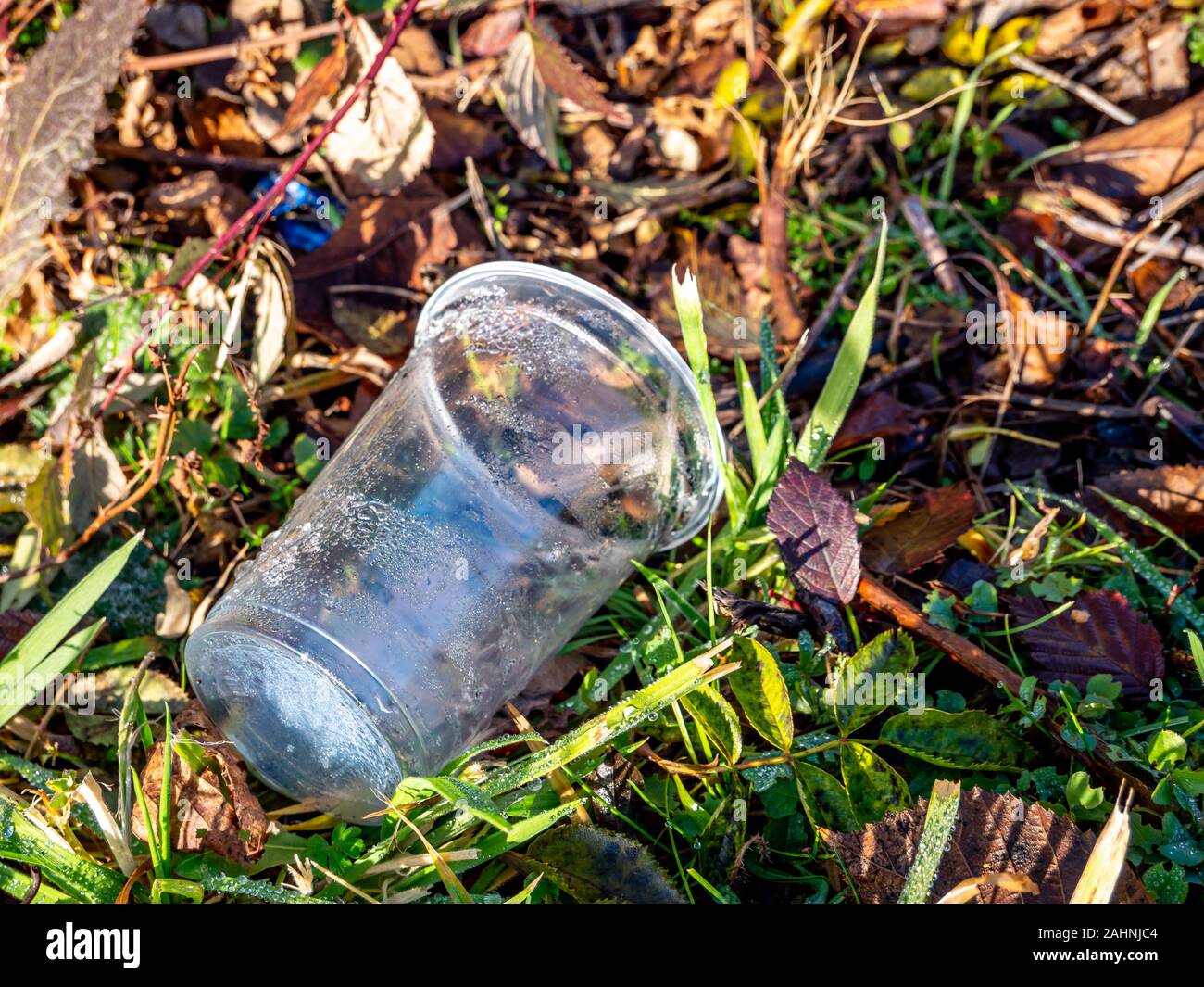 Plastic cup environmental pollution in nature Stock Photo - Alamy