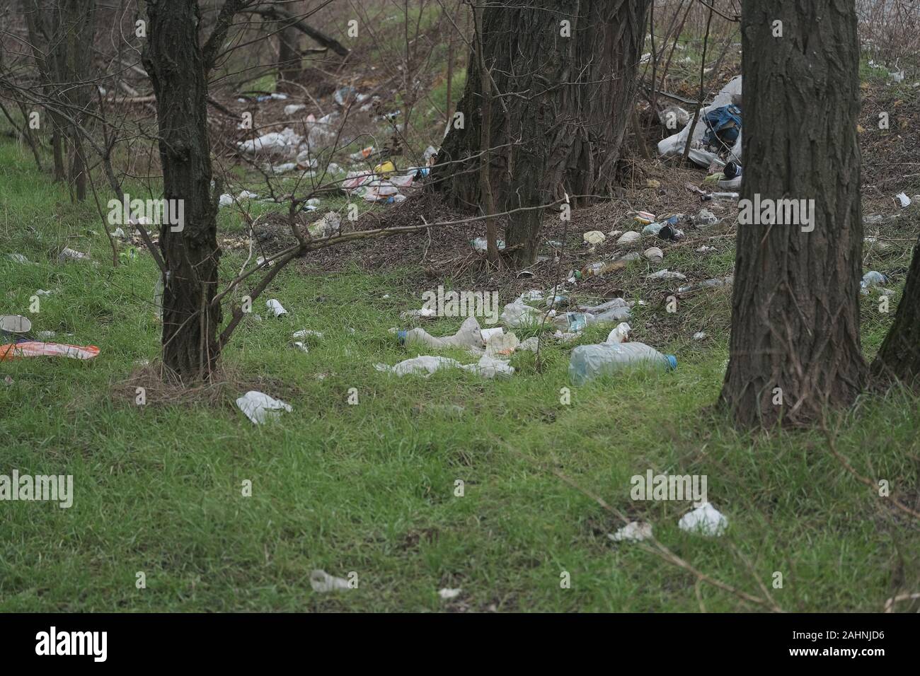 Forest pollution, plastic garbage in the pinewood. Dump plastic debris ...