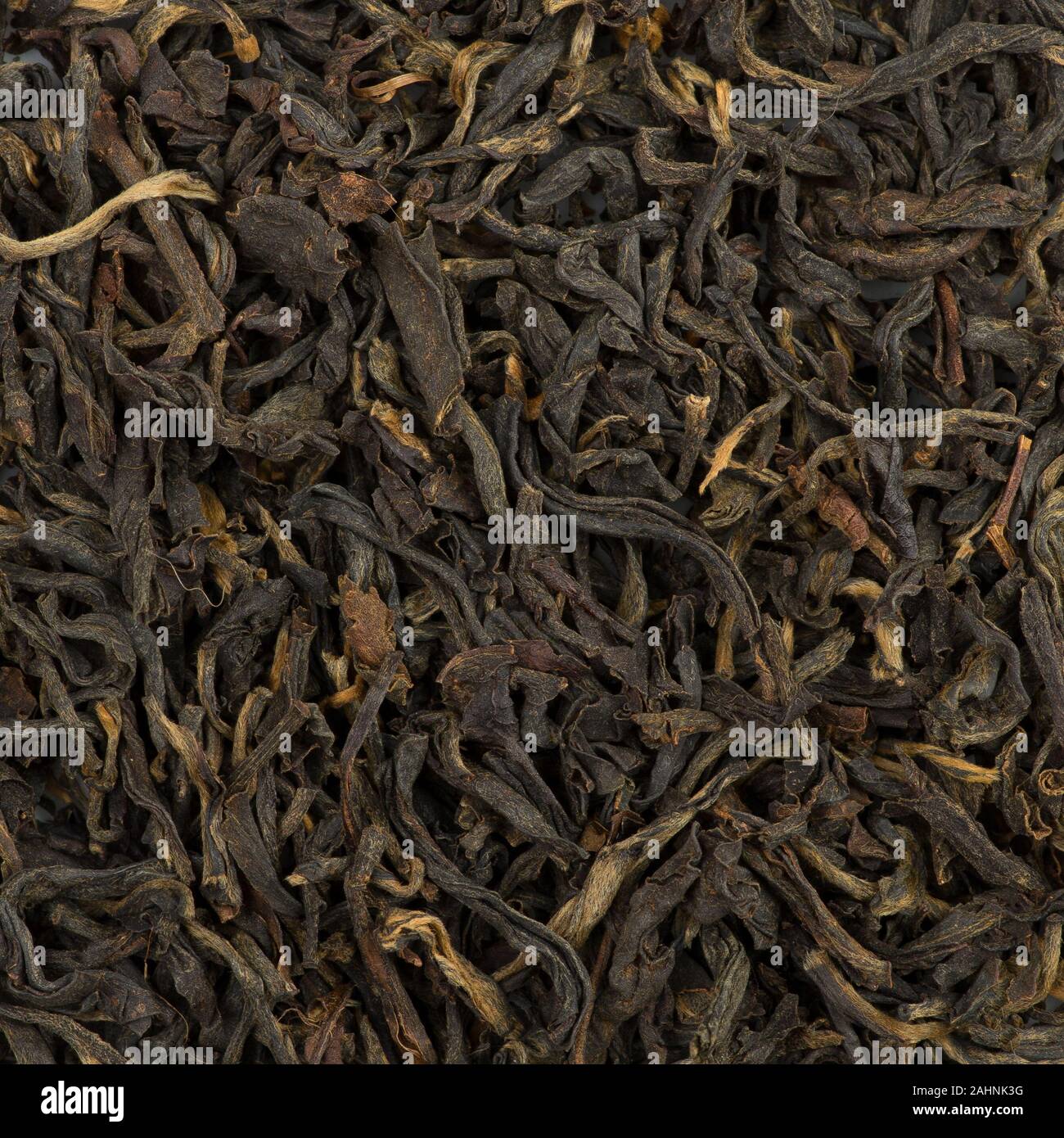 Young black tea leaves hi-res stock photography and images - Alamy