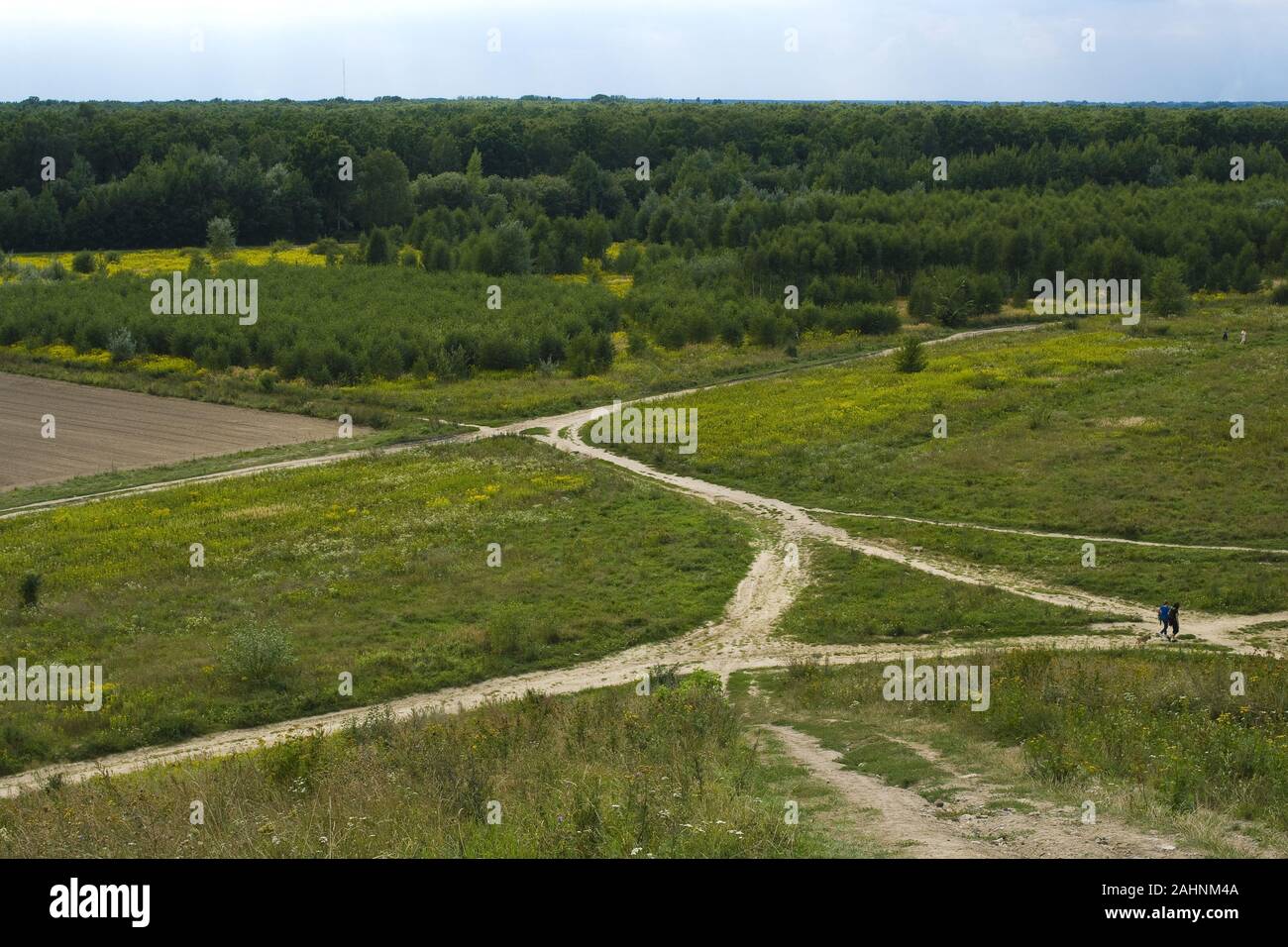 Kabacki forest hi-res stock photography and images - Alamy