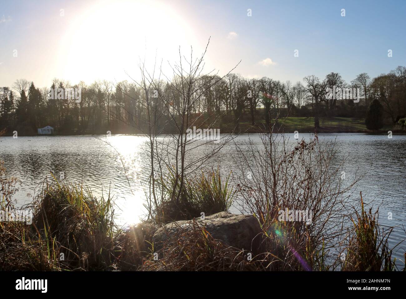 Gut panker hi-res stock photography and images - Alamy