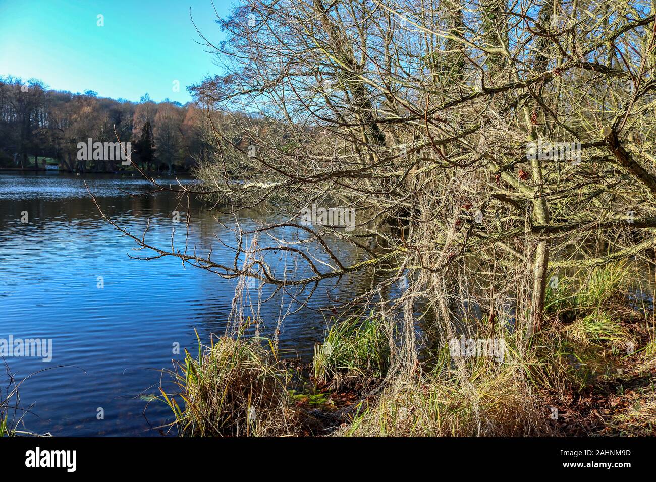 The sun illuminates the trees and glitters on the lake at Gut Panker ...