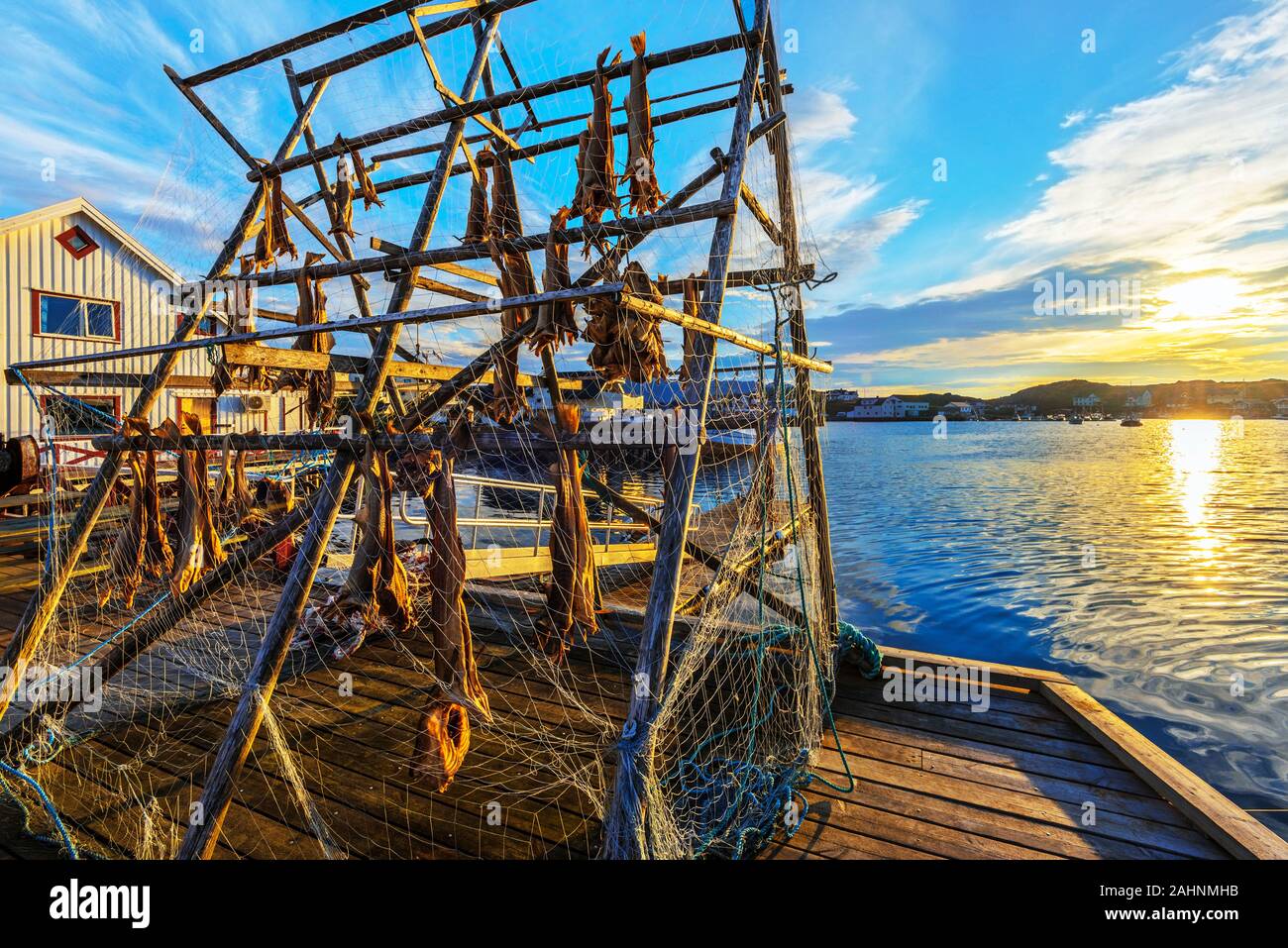 Wooden terrace with cod fish drying rack illuminated with evening sun ...