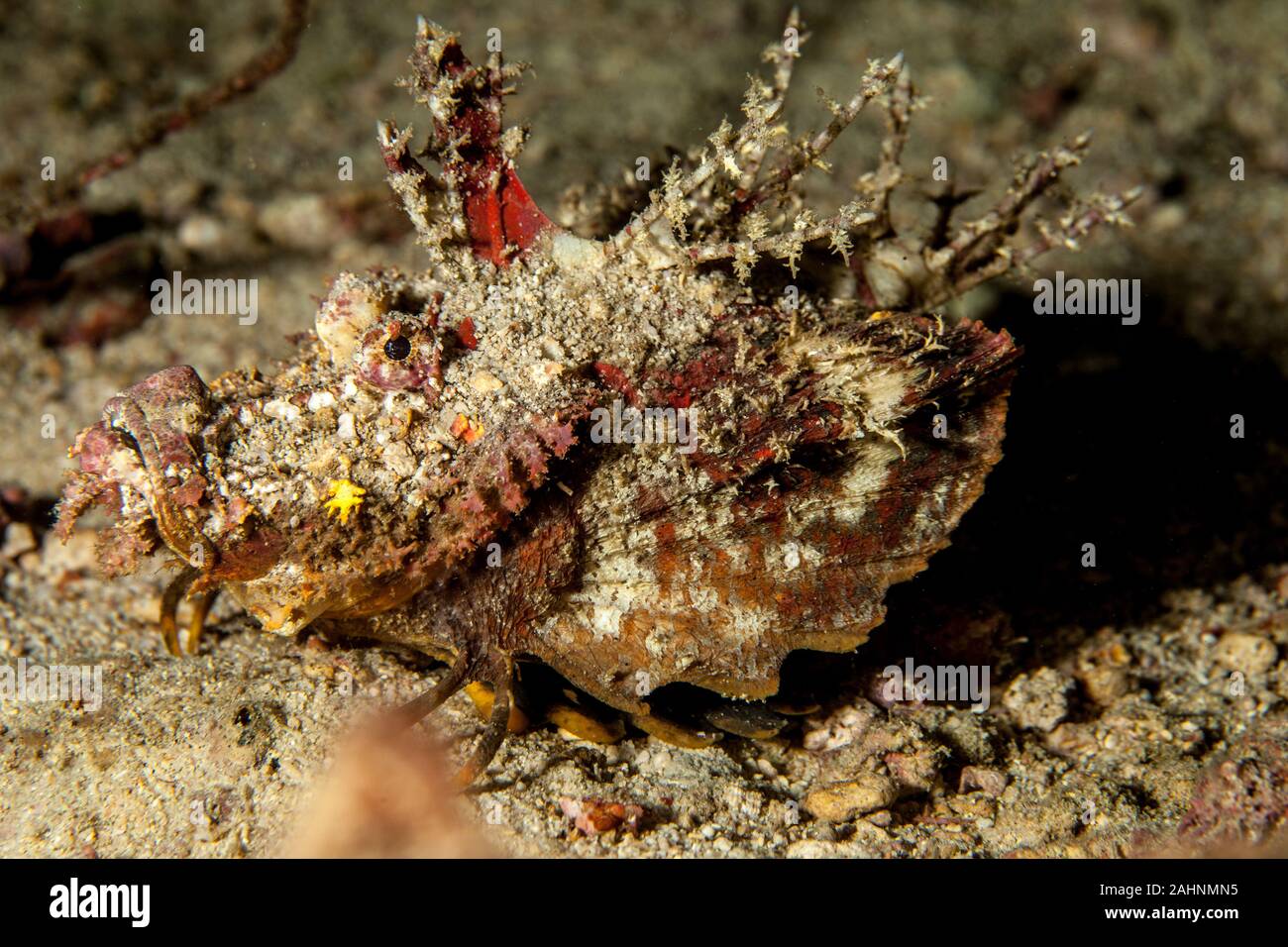 Devil Walkman High Resolution Stock Photography and Images - Alamy