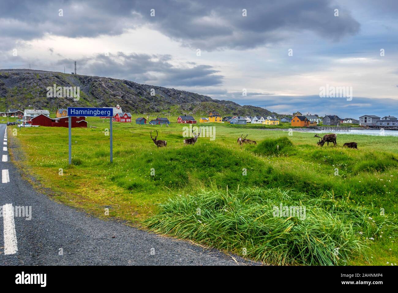 Fv341 hi-res stock photography and images - Alamy