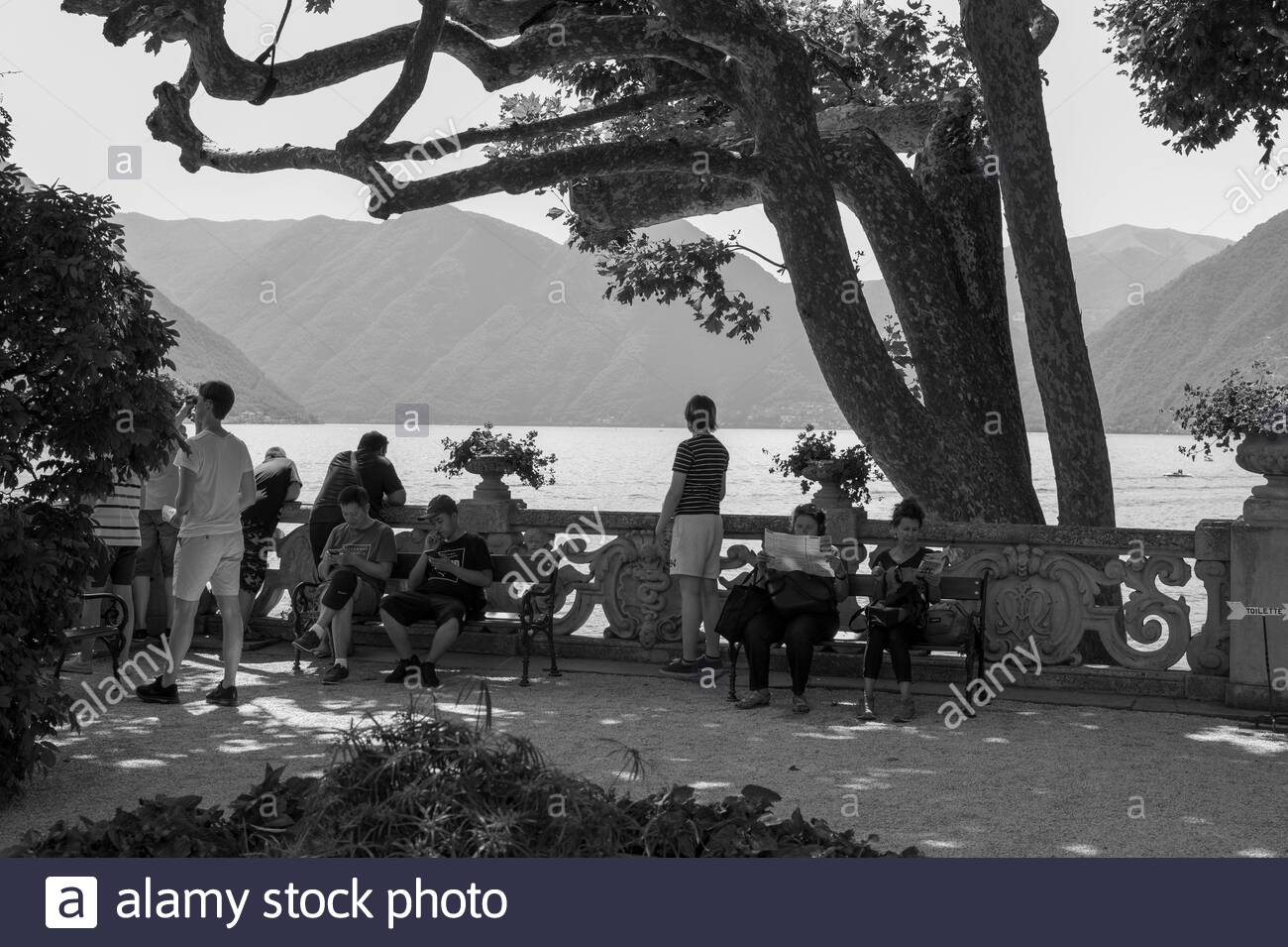 James Bond M High Resolution Stock Photography and Images - Alamy