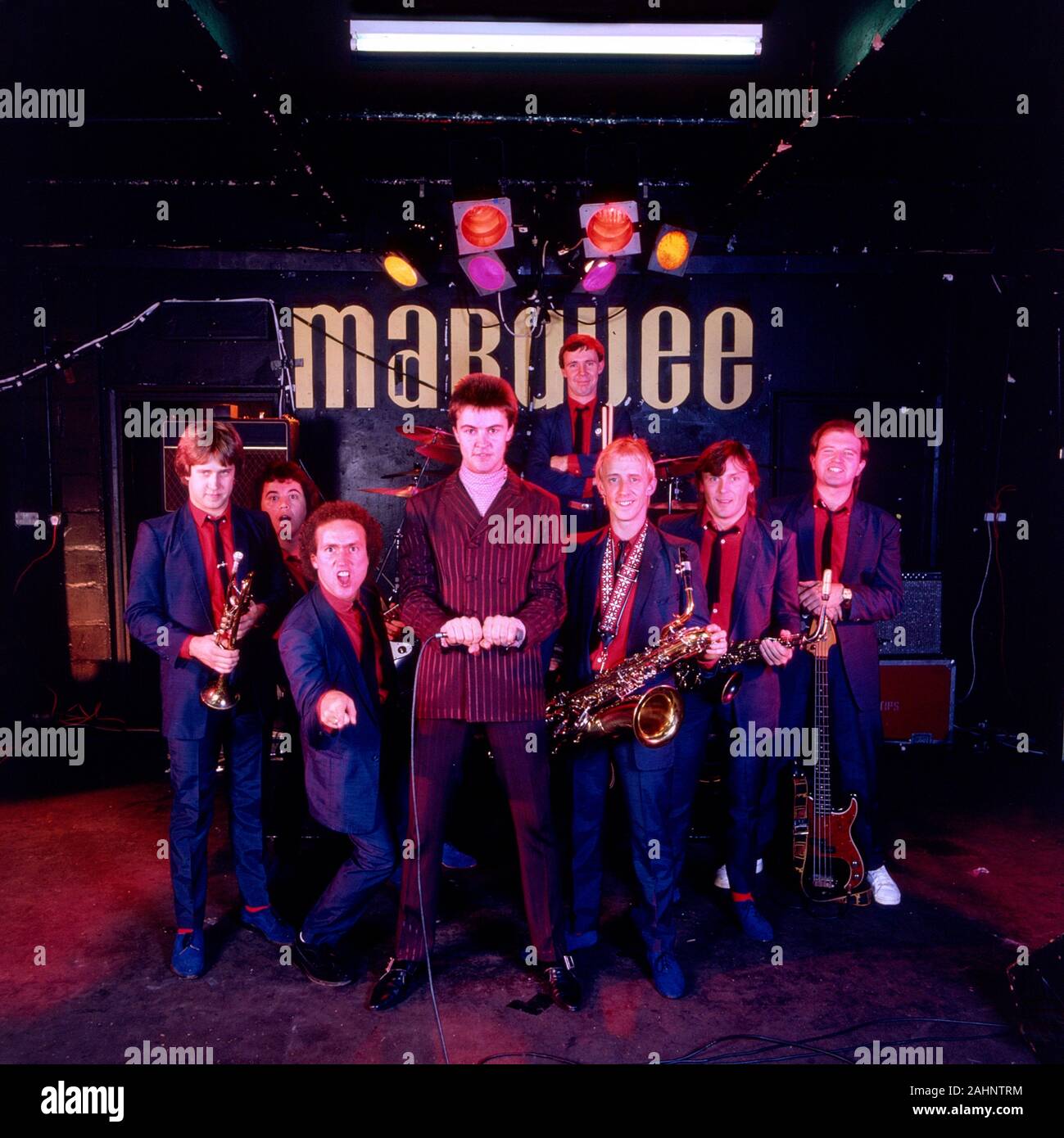 Q Tips High Resolution Stock Photography and Images - Alamy