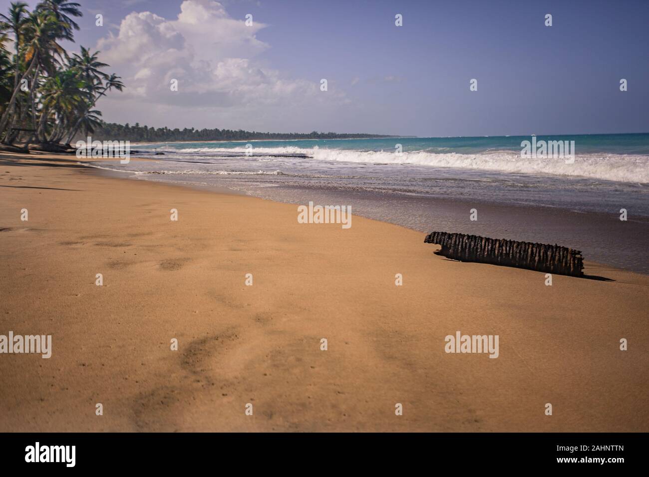 Playa Limon in Dominican republic 13 Stock Photo - Alamy