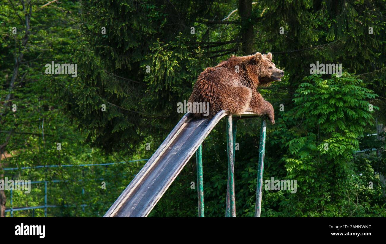Big bear bridge hi-res stock photography and images - Alamy