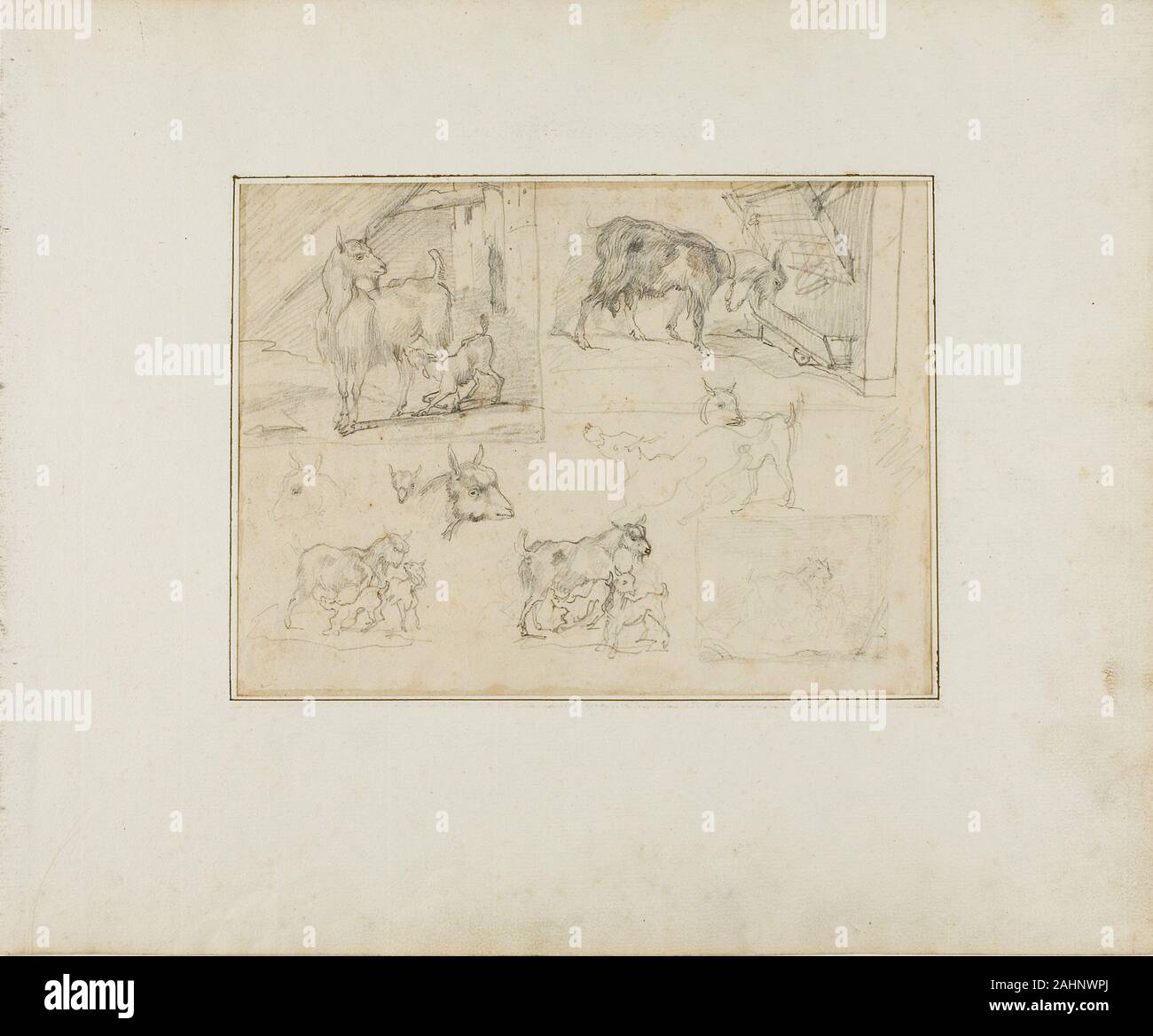 Graphite on ivory laid paper mounted to ivory laid paper hi-res stock ...