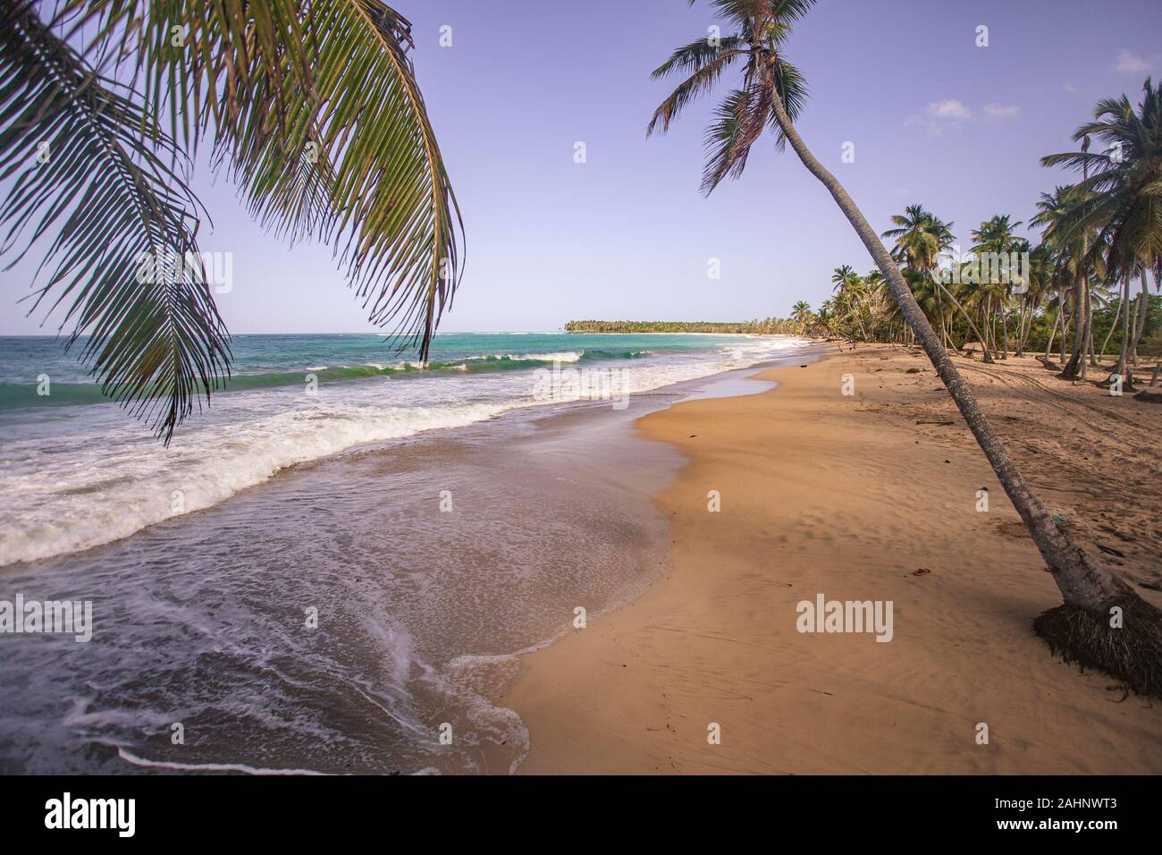 Playa Limon in Dominican republic 16 Stock Photo - Alamy