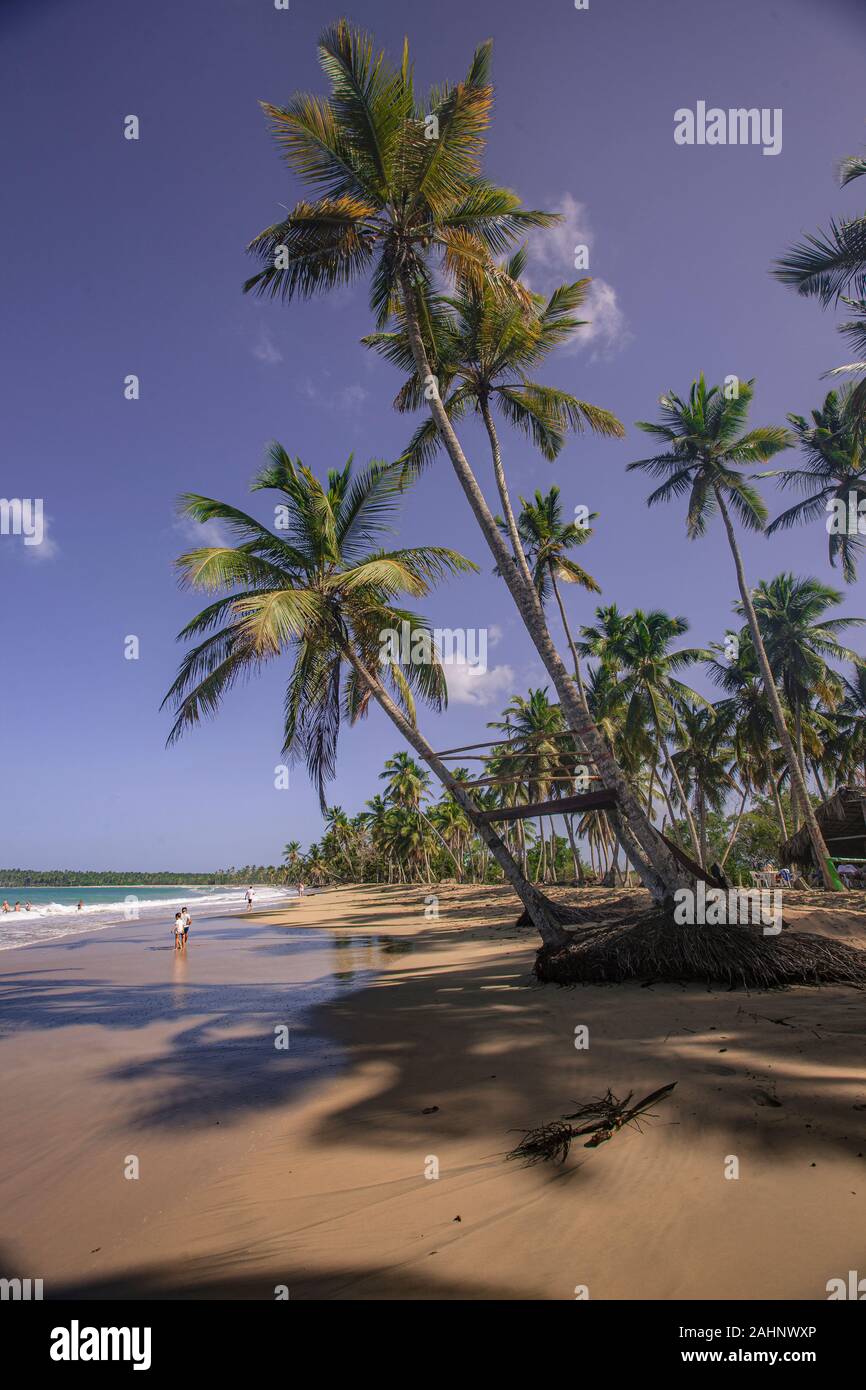 Playa Limon in Dominican republic 9 Stock Photo - Alamy