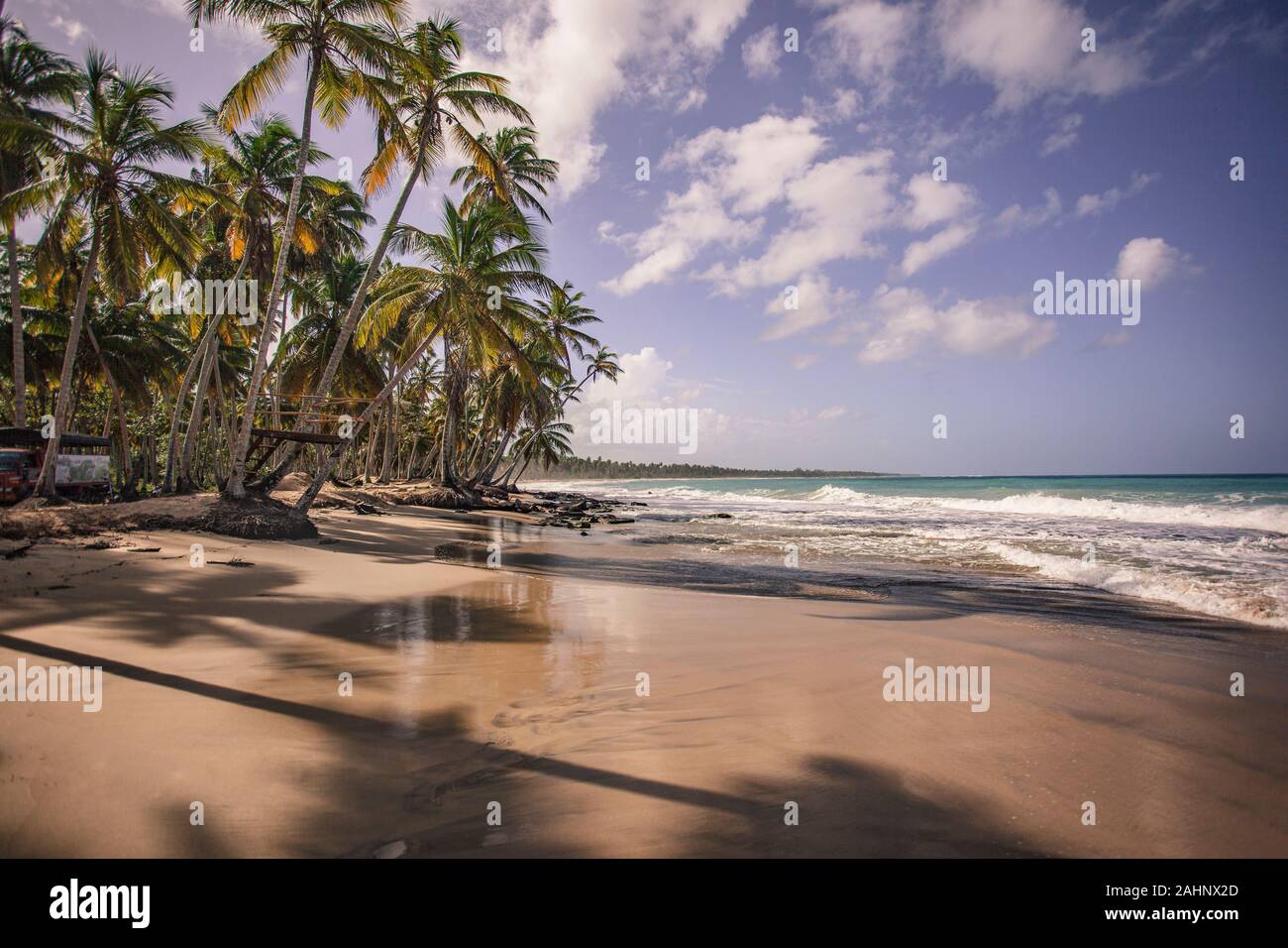 Playa Limon in Dominican republic 6 Stock Photo - Alamy