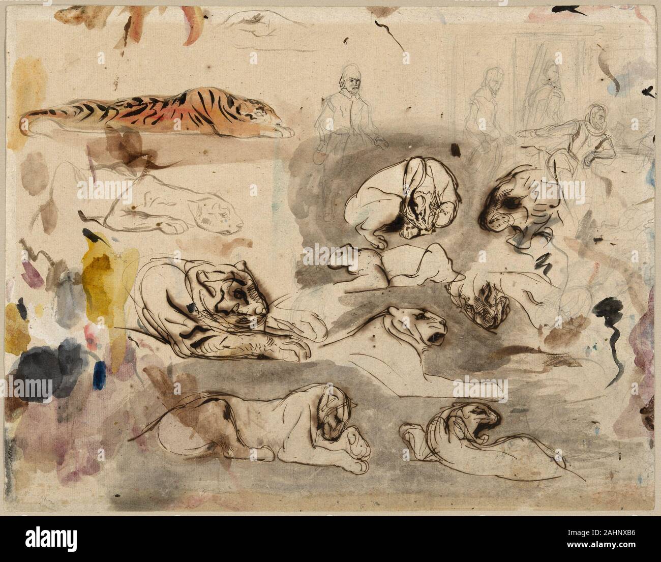 Watercolor and graphite on buff paper hi-res stock photography and ...