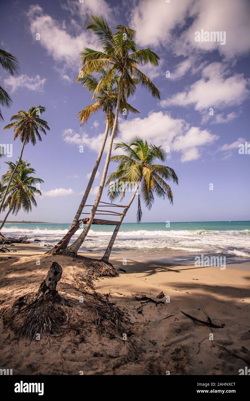 Playa Limon in Dominican republic 2 Stock Photo - Alamy