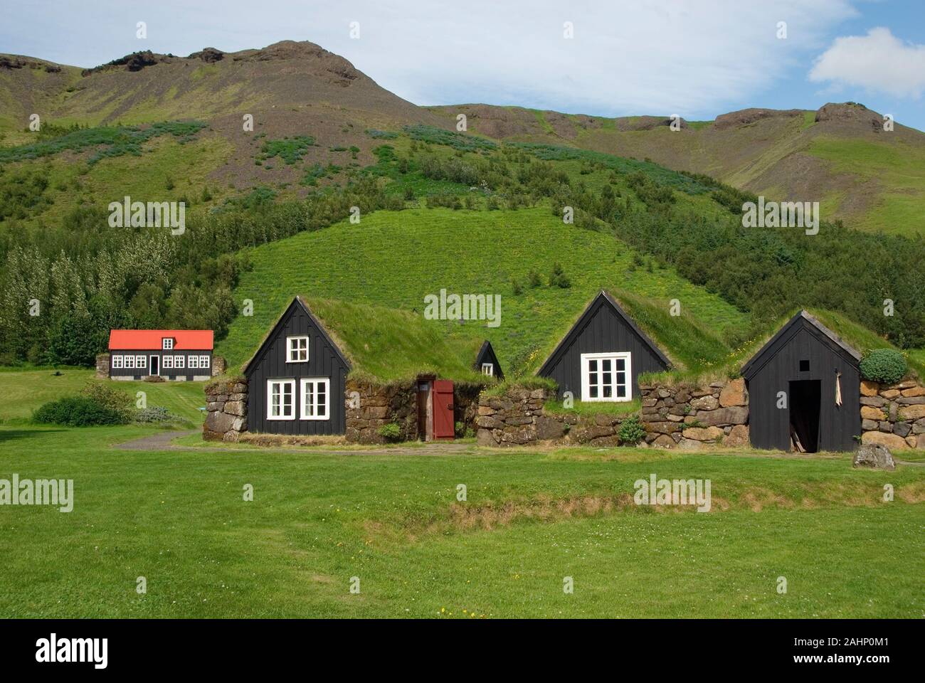 Europa, Island, Skogar, Heimat- und Freilichtmuseum, Torfhaeuser ...