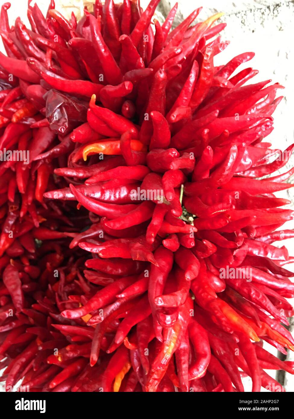 String of chillies hi-res stock photography and images - Alamy