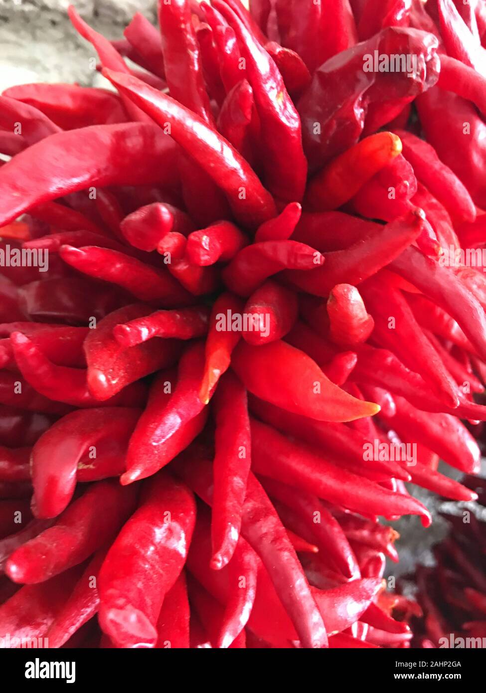 Hatch red chile hi-res stock photography and images - Alamy