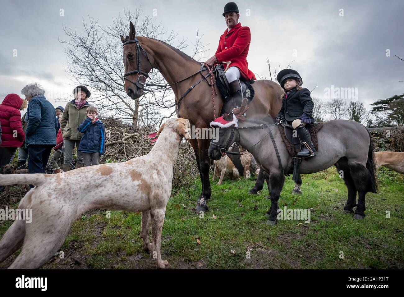 Quantock staghounds hi-res stock photography and images - Alamy