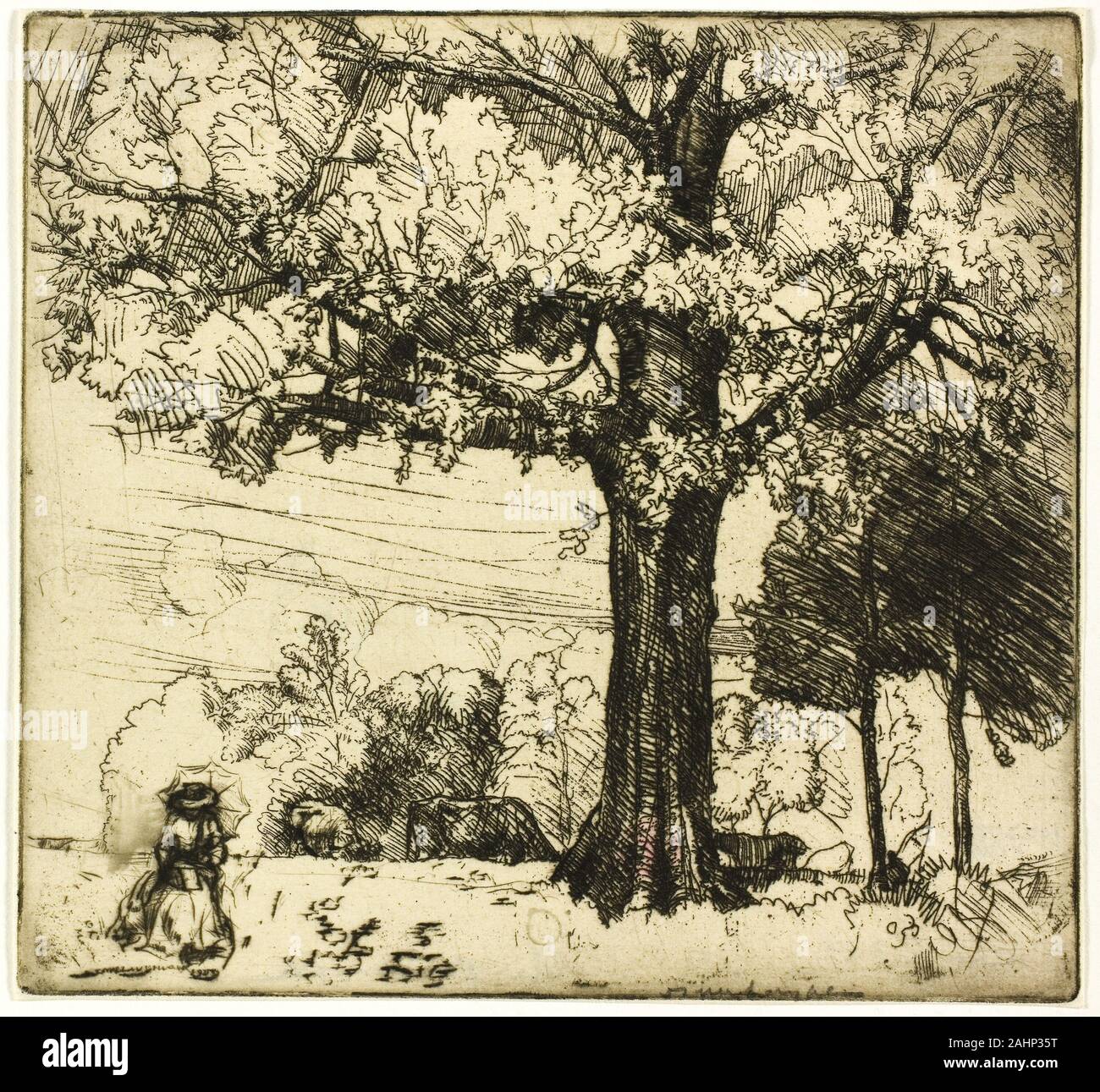 Donald Shaw MacLaughlan. The Great Oak. 1907. United States. Etching in ...