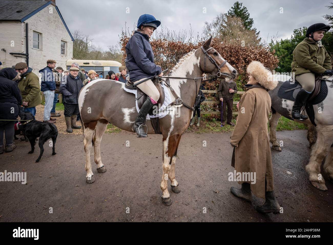 Quantock staghounds hi-res stock photography and images - Alamy