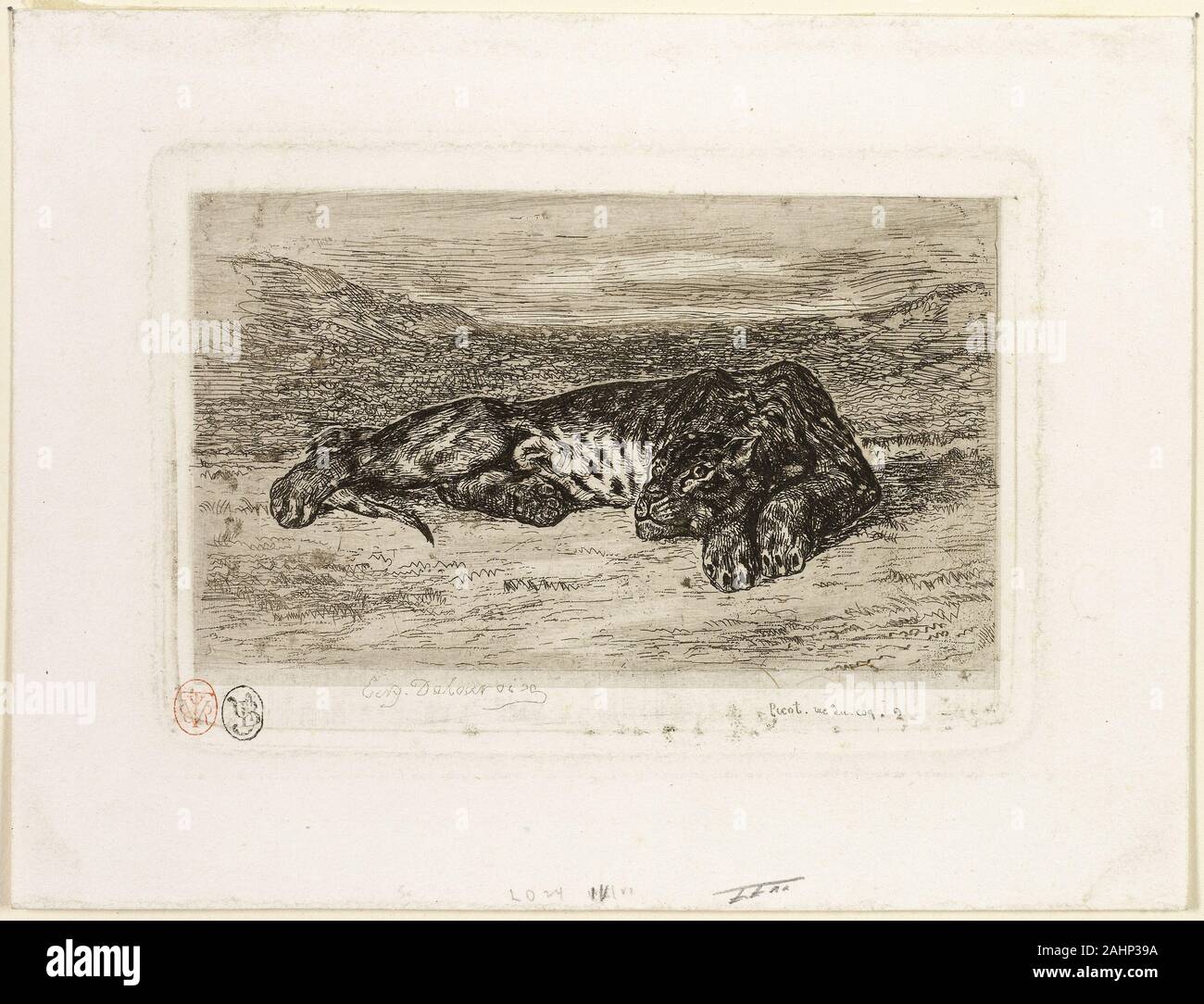 Eugène Delacroix. Tiger Resting in the Desert. 1846. France. Etching on ...