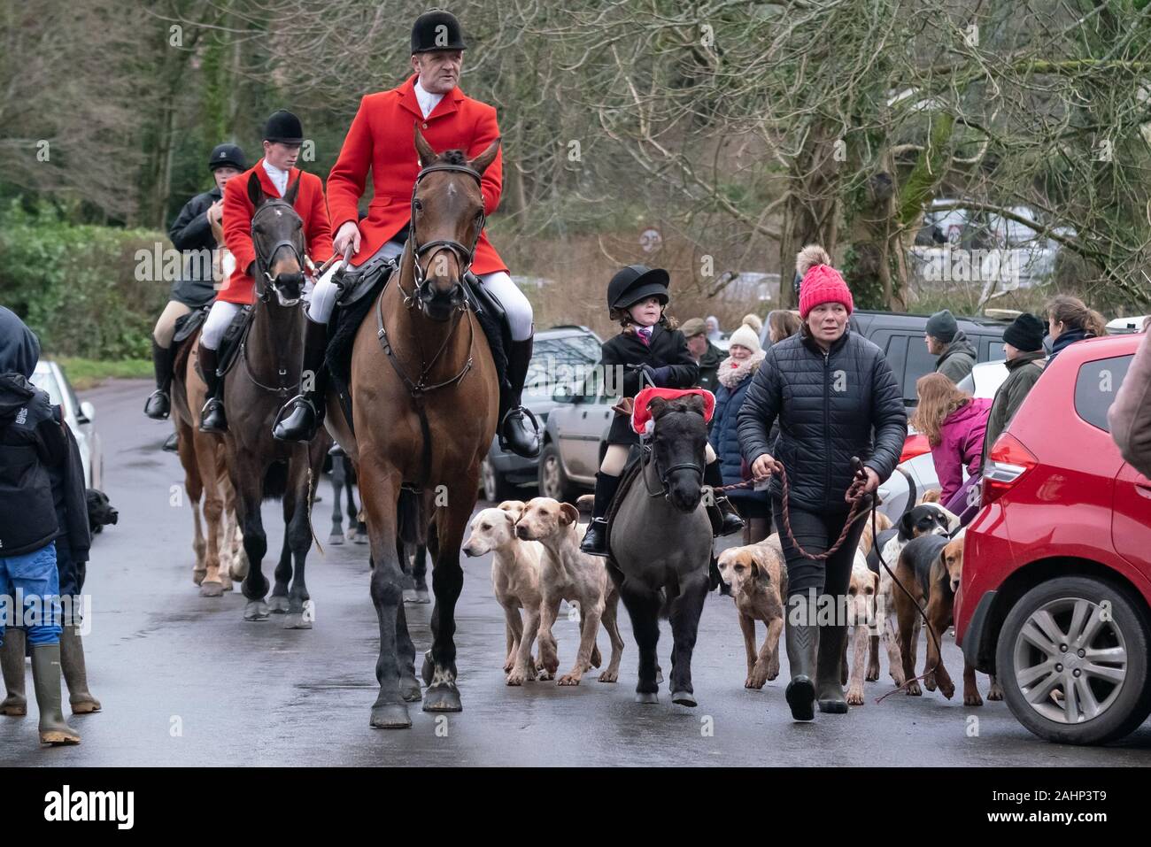 British stag hunt meet hi-res stock photography and images - Alamy