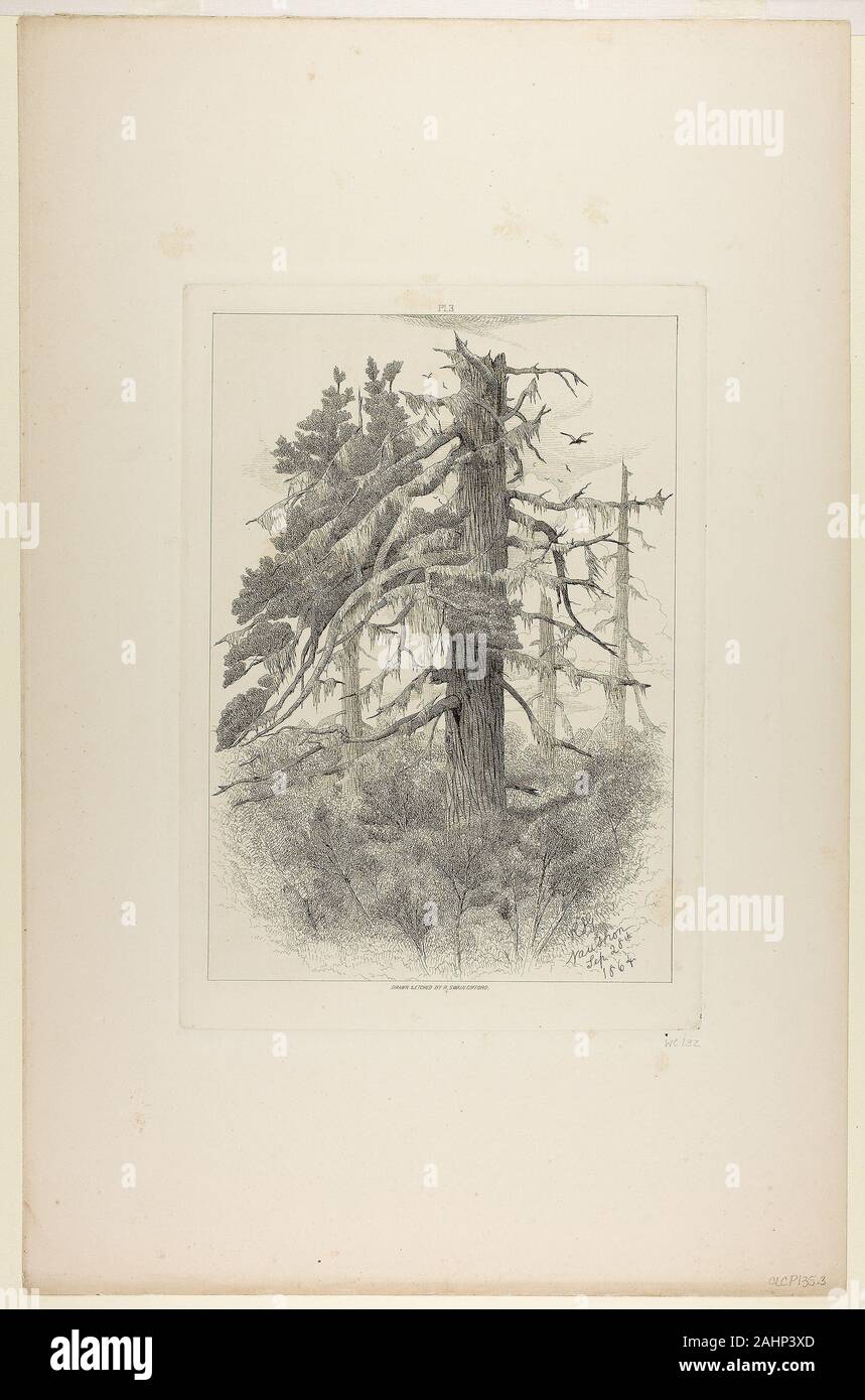 Robert Swain Gifford. Old Trees at Naushon Island. 1864. United States ...
