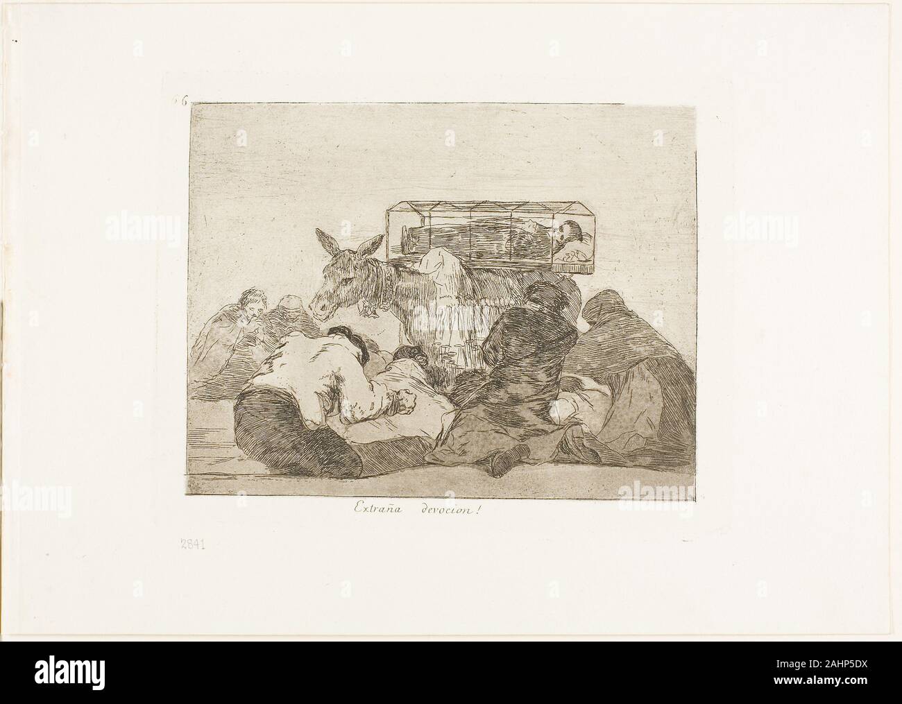 Donkey skeleton hi-res stock photography and images - Alamy