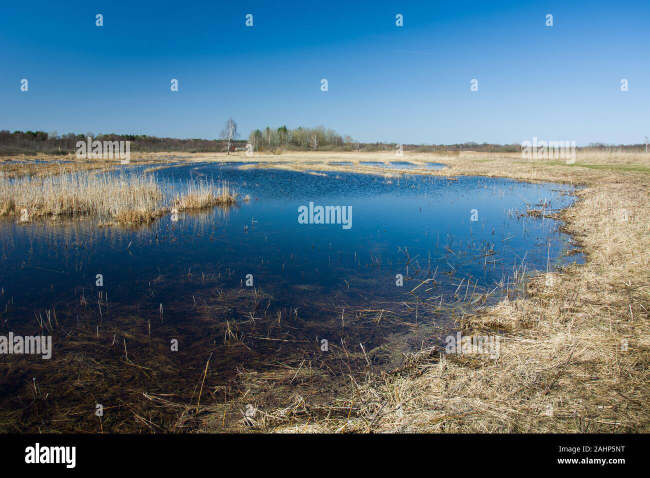 Field marsh marshy hi-res stock photography and images - Alamy